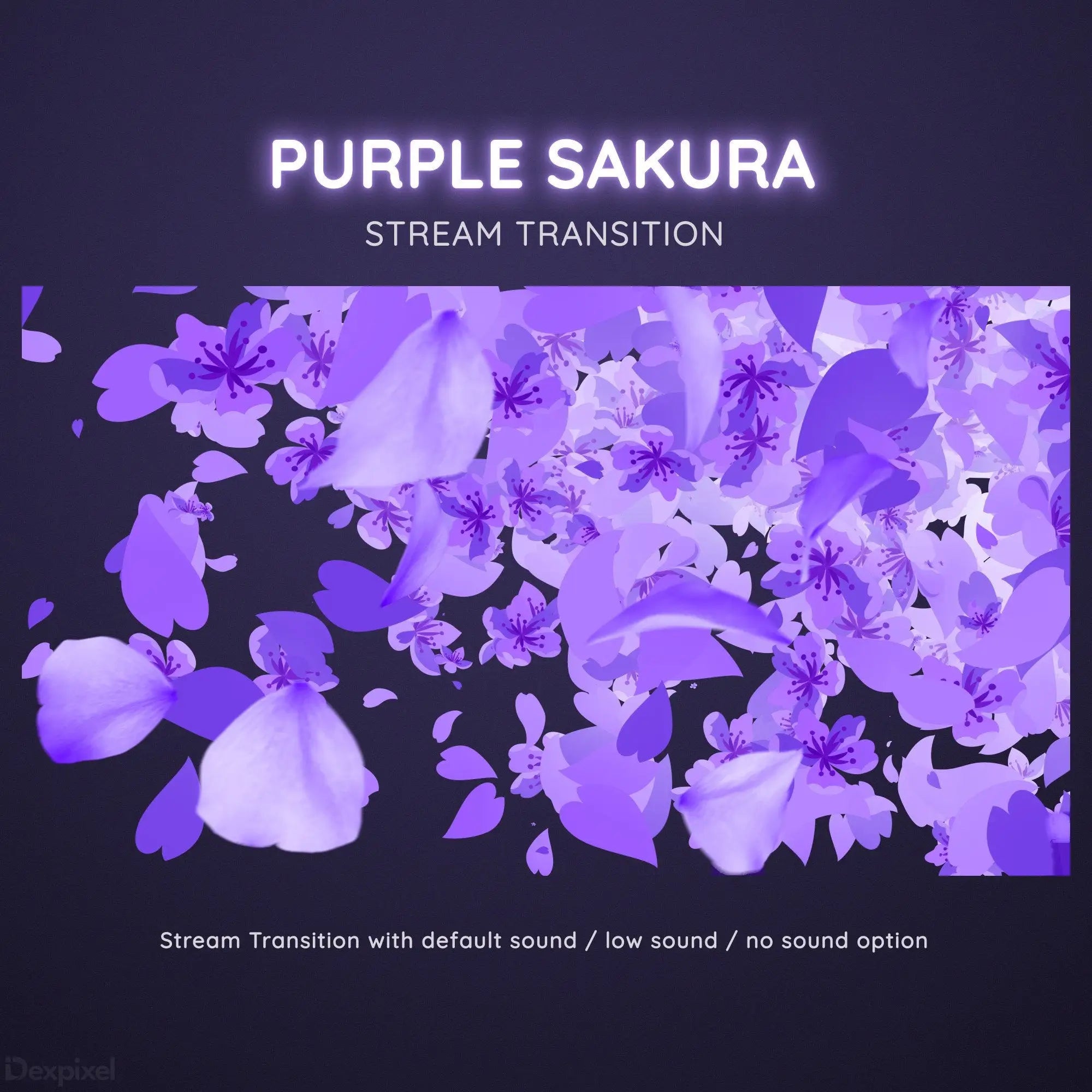 Purple Sakura Cherry Blossom Stream Transition | Elegant OBS Stinger ...